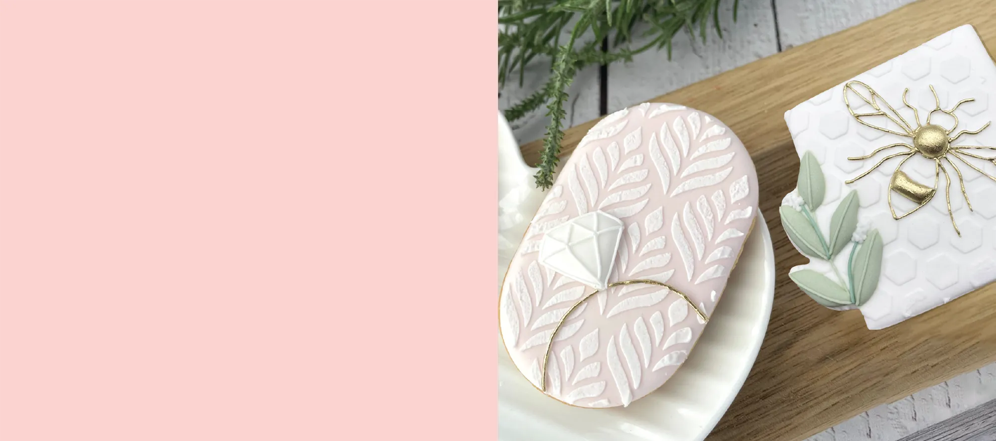 The Biscuit Studio | Decorating Made Easy – biscuit studio